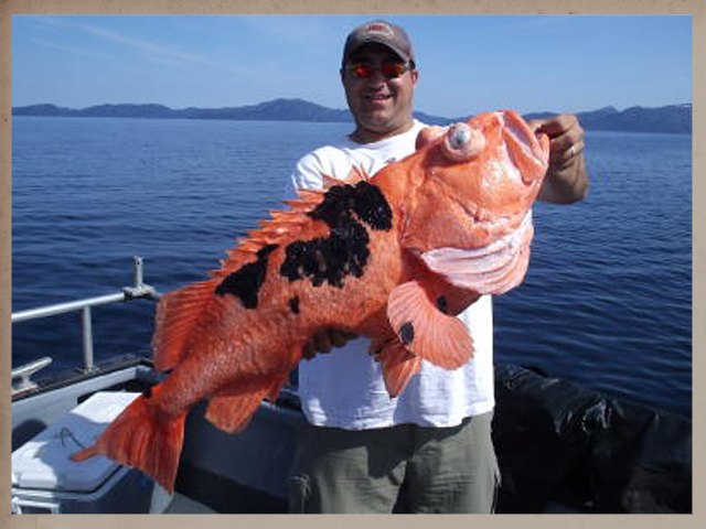 FISHING | Whittier Marine Charters